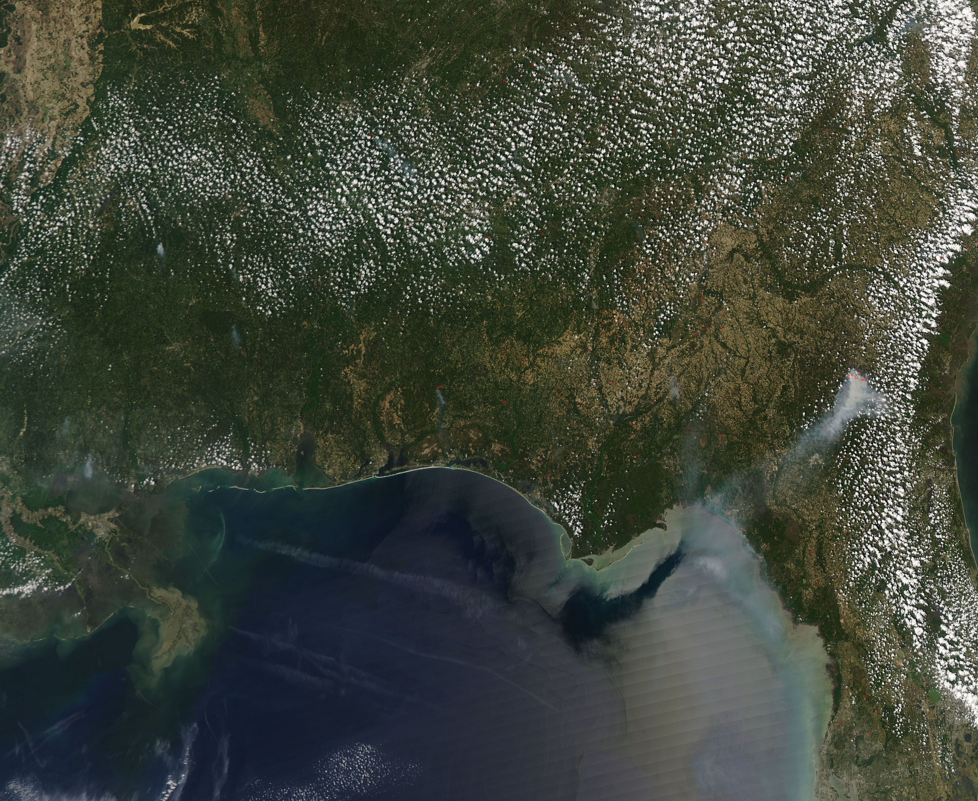 Sweat Farm Road Fire, Georgia - NASA Science