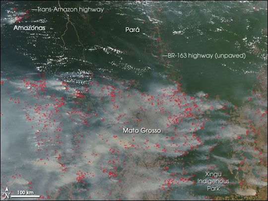 Fires in the Amazon - NASA Science