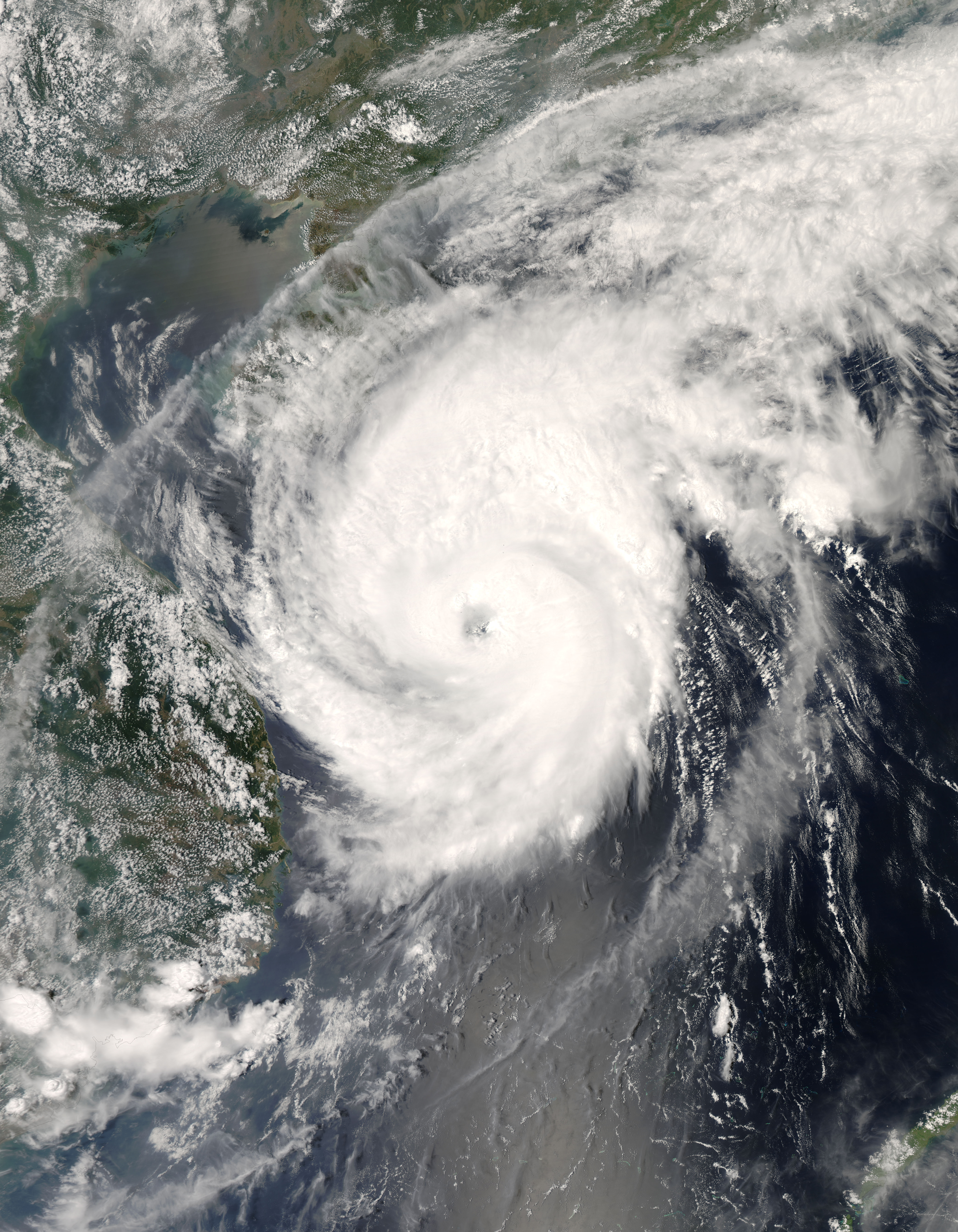 neoguri typhoon