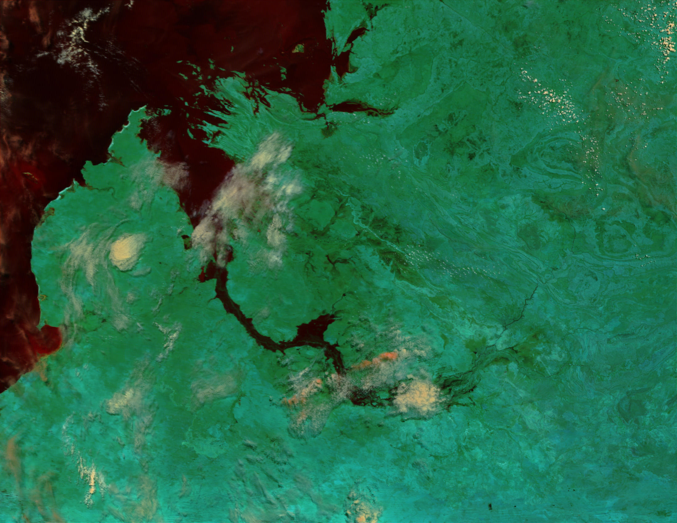 Flooding on the Fitzroy River, Australia - NASA Science