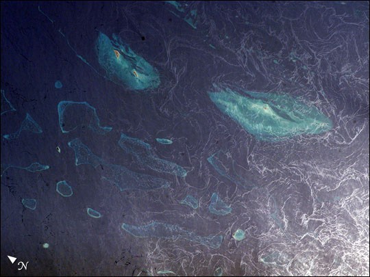 Above and Under the Red Sea - NASA Science