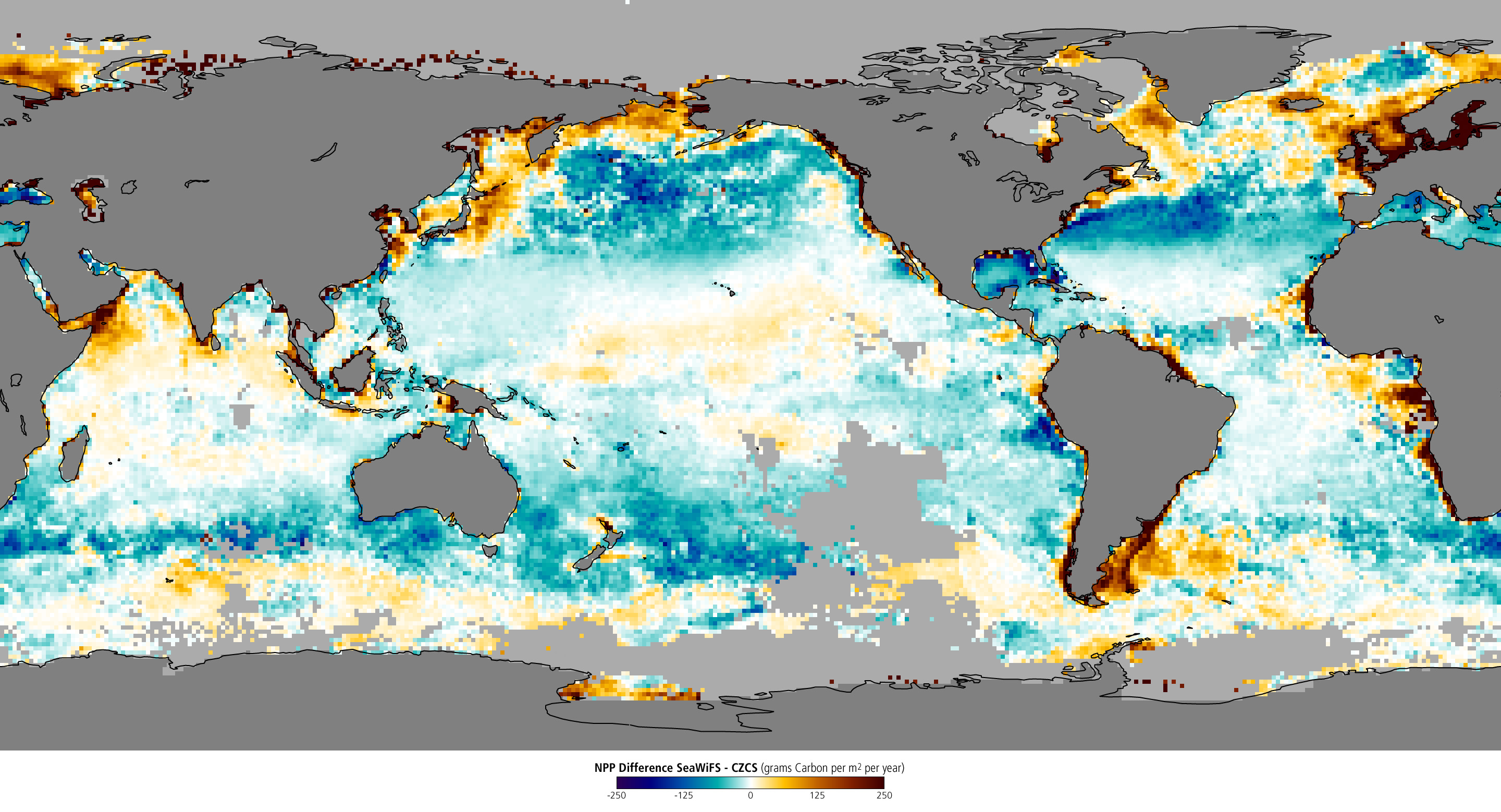 net primary productivity