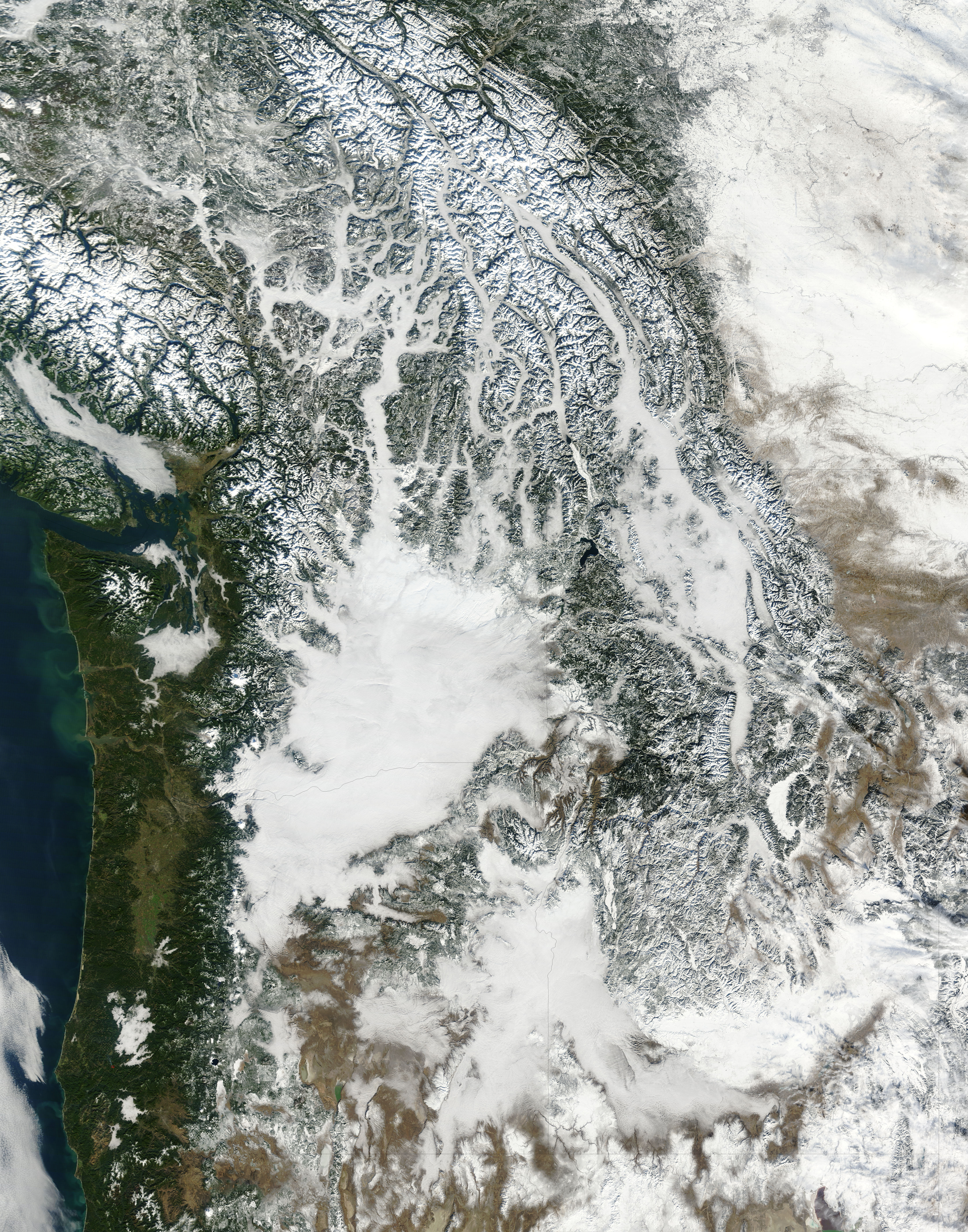 Snow and Fog in Pacific Northwest - NASA Science