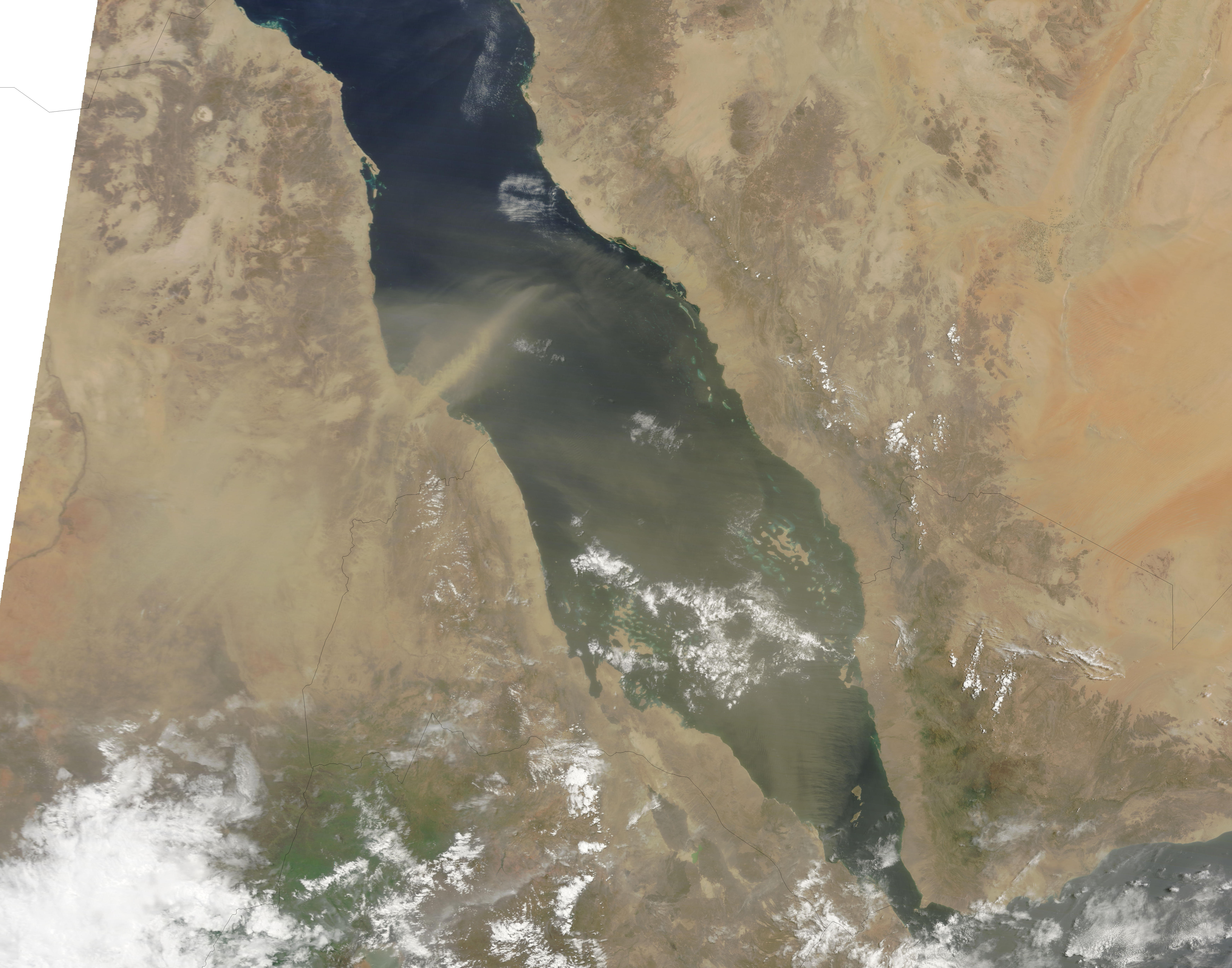 Dust Plumes over the Red Sea - NASA Science
