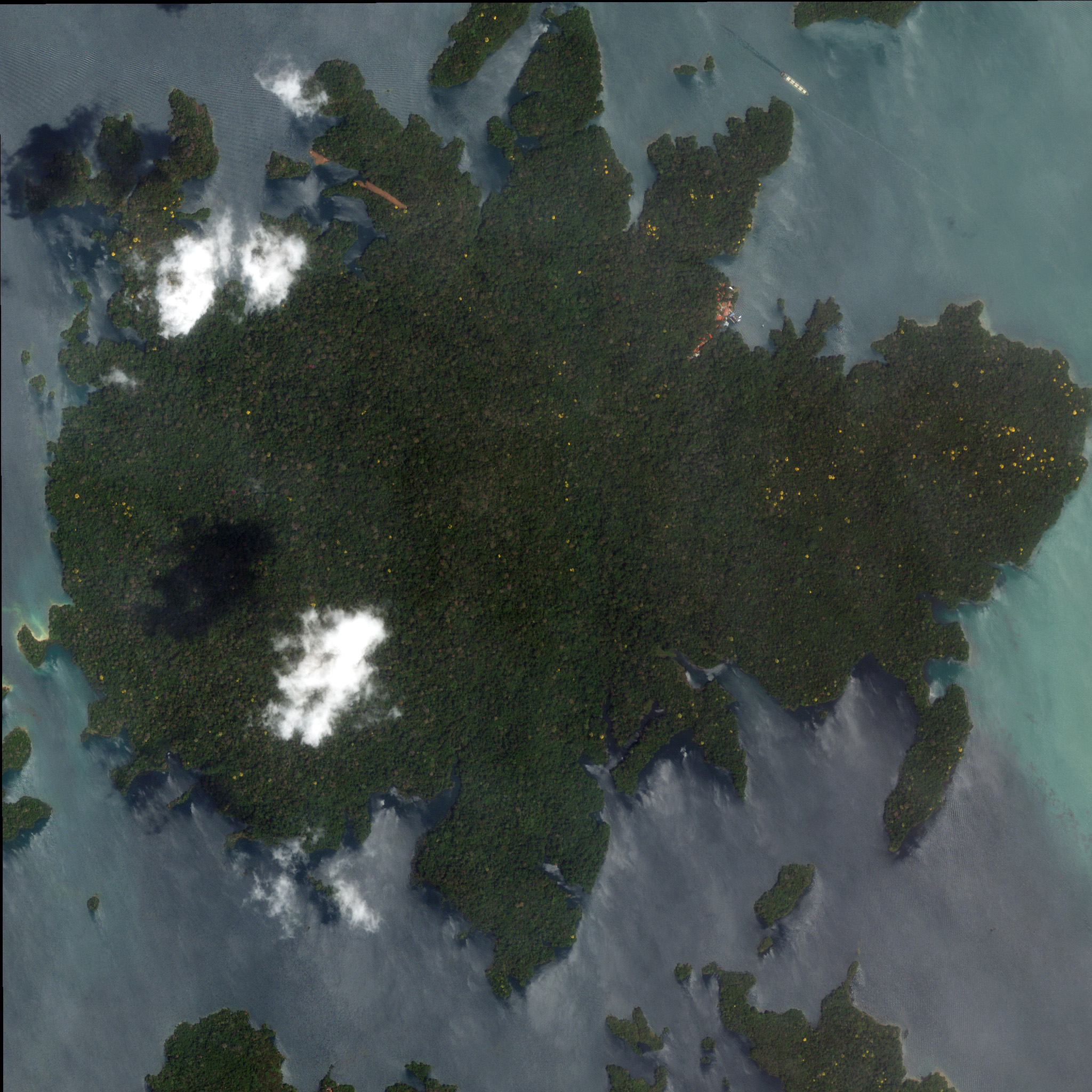 Barro Colorado Island - NASA Science