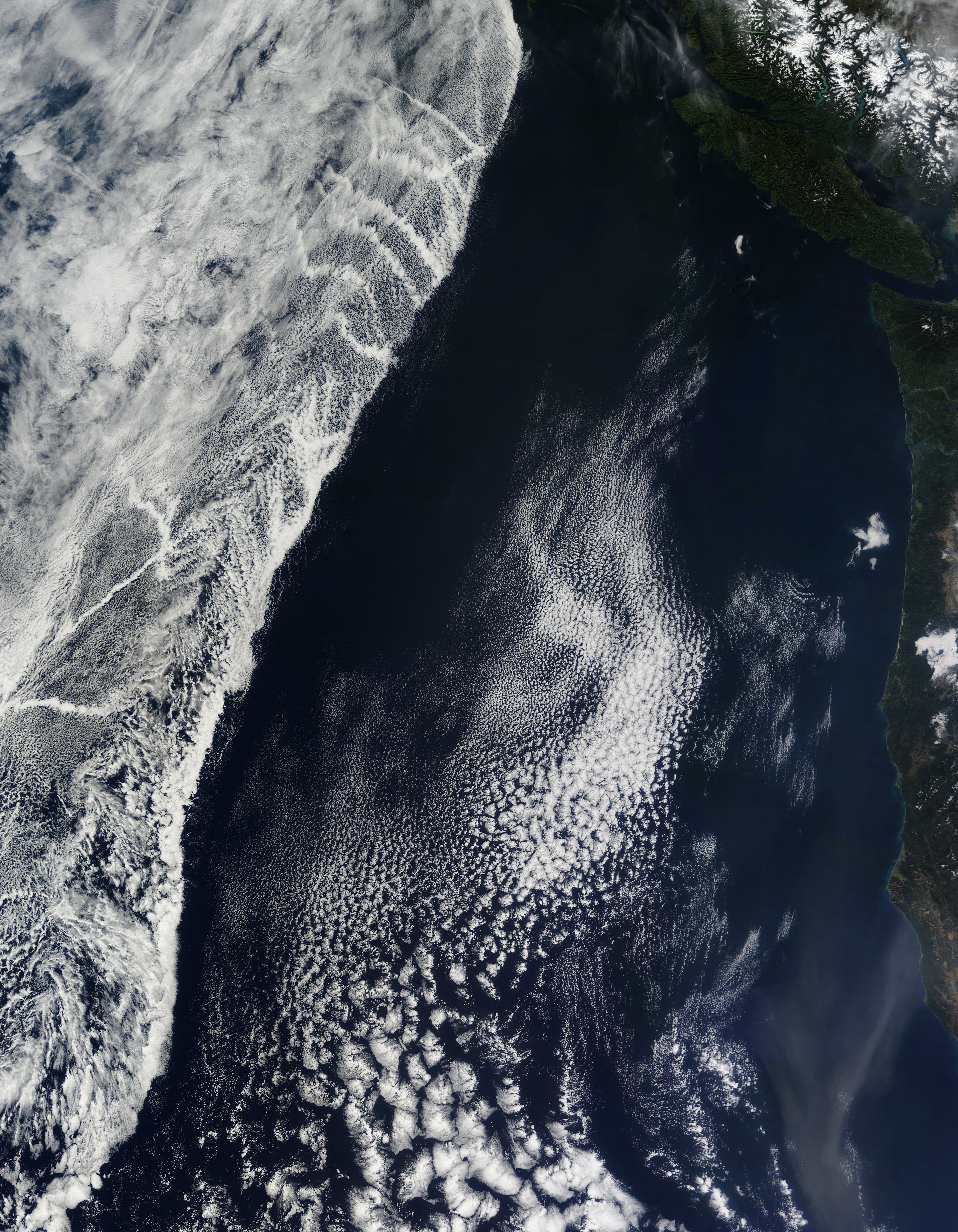 Ship Trails over the Pacific Ocean - NASA Science