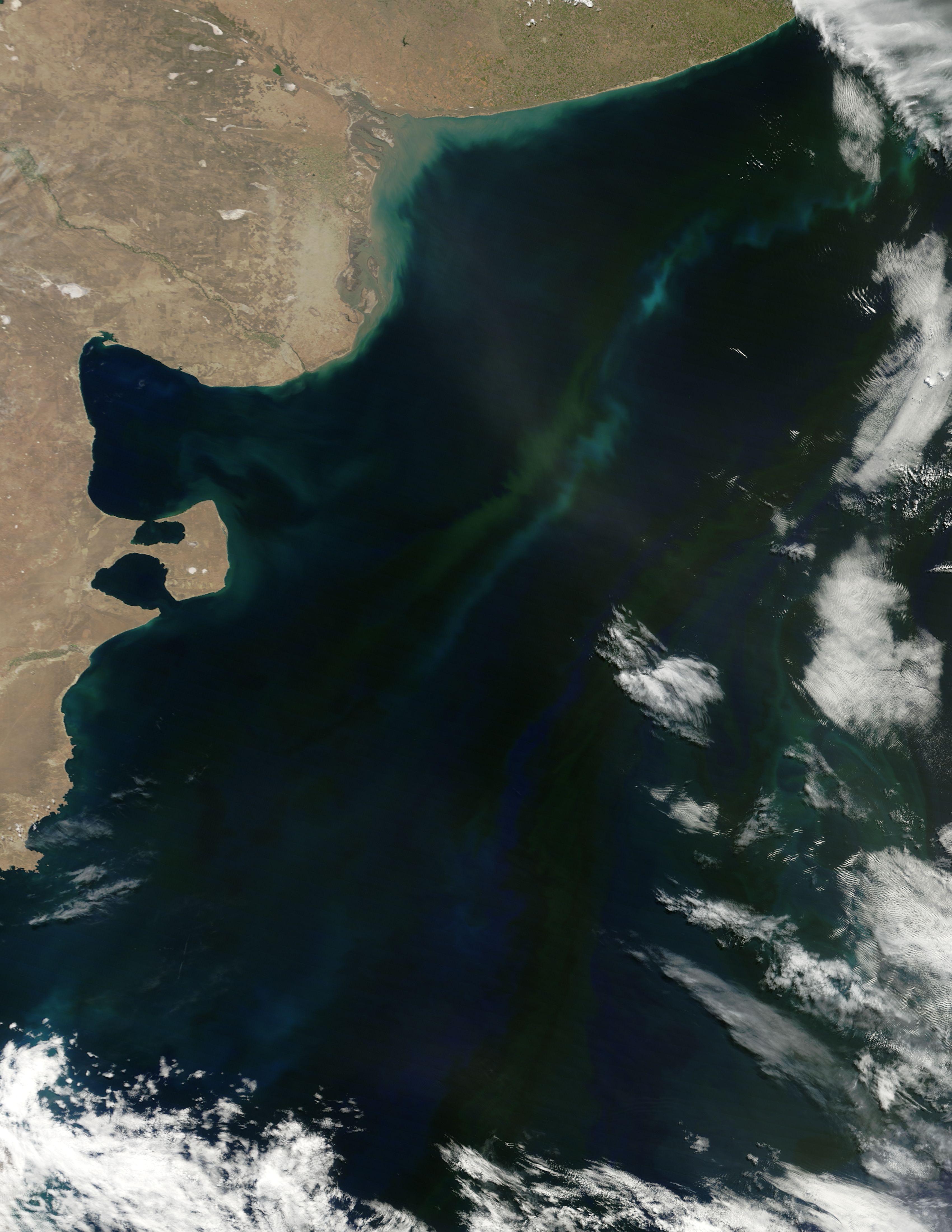 Spring Bloom in the South Atlantic Ocean - NASA Science