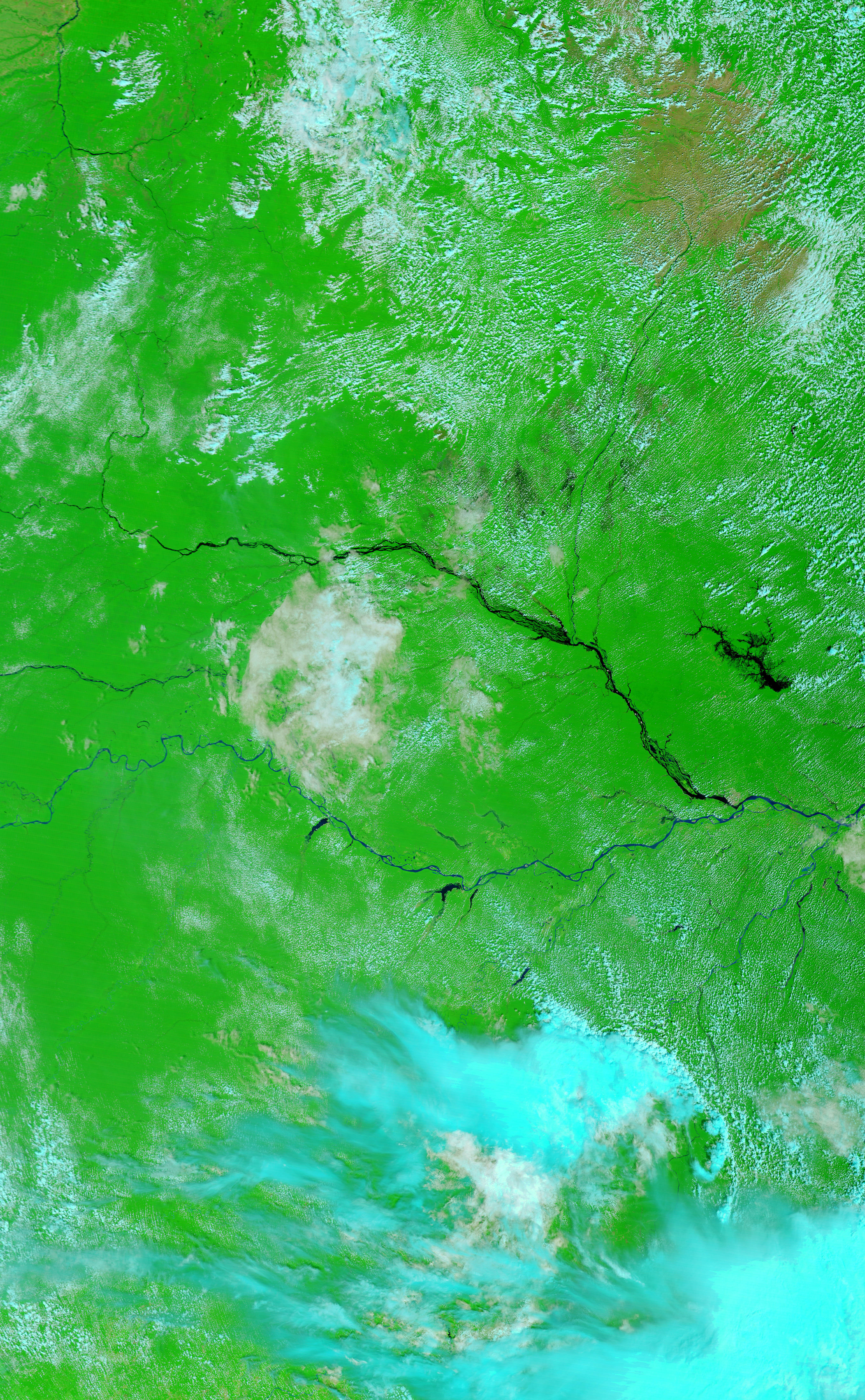 Brazil’s Negro River Reaches Record Low - NASA Science