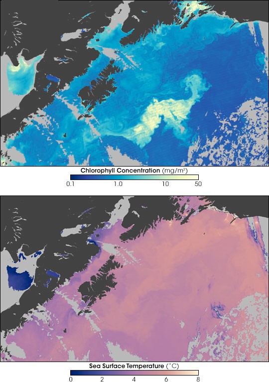 Spring Bloom - NASA Science
