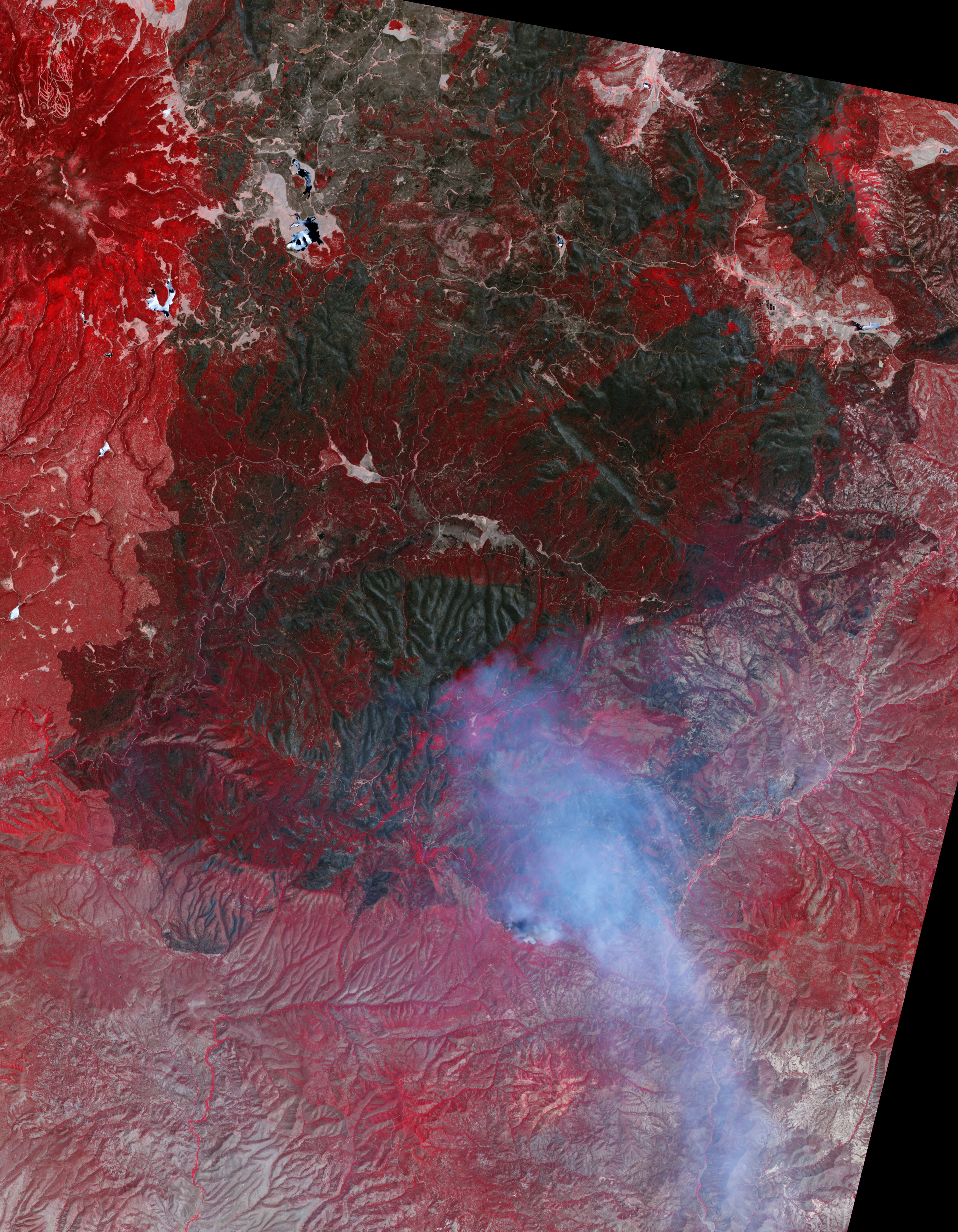 Wallow Fire Burn Scar, Arizona - NASA Science