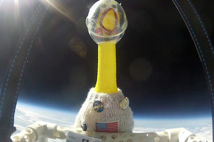 Rubber Chicken in Space - NASA Science