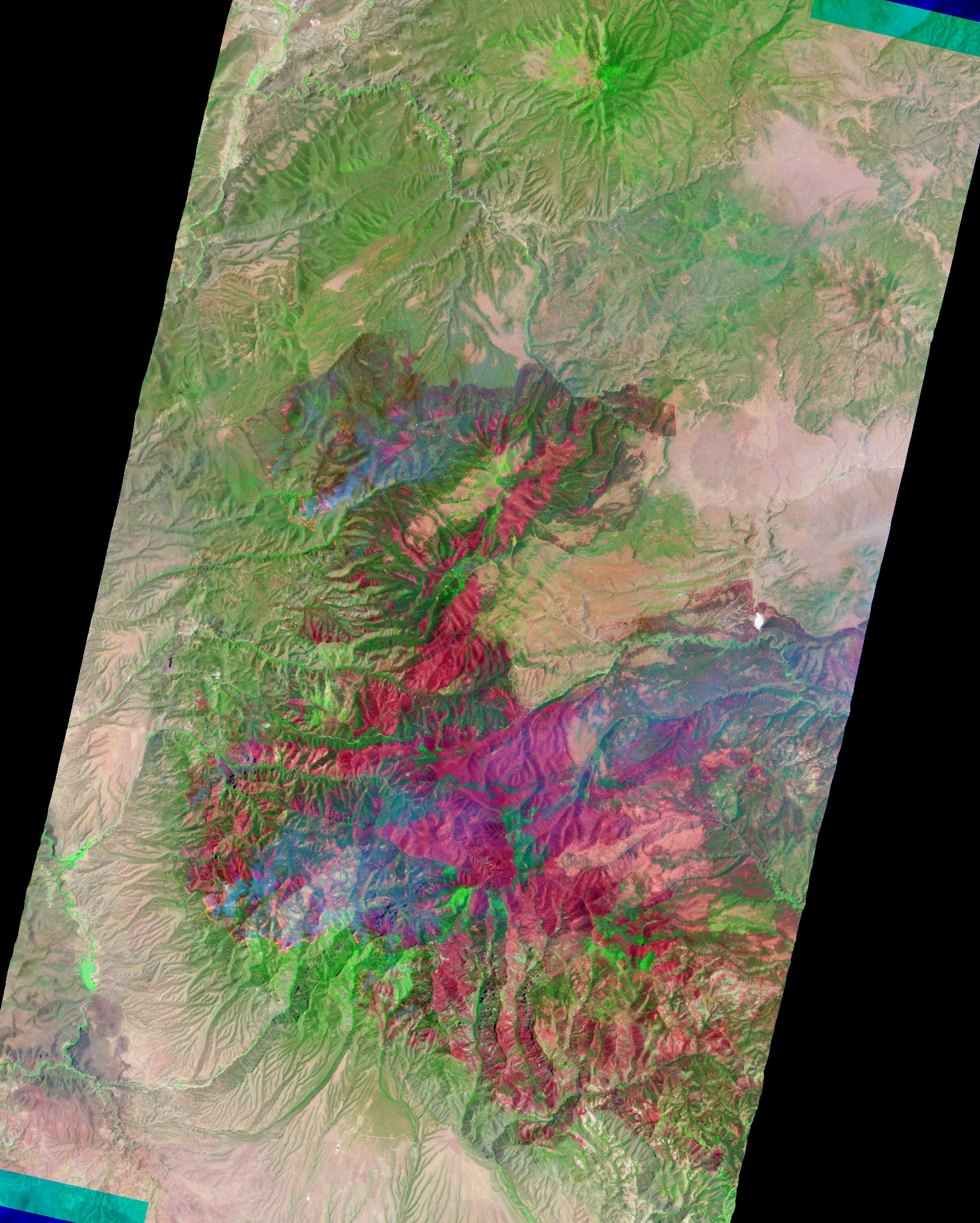 Whitewater-Baldy Fire in New Mexico - NASA Science