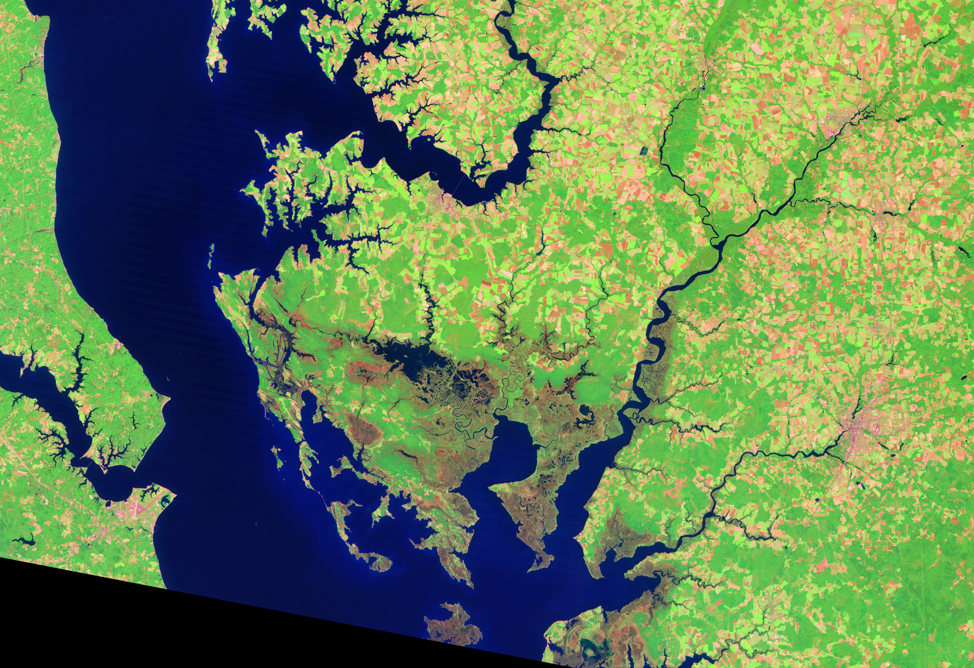 Blackwater National Wildlife Refuge - NASA Science