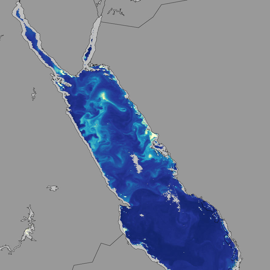 Chlorophyll and Currents in the Red Sea - NASA Science