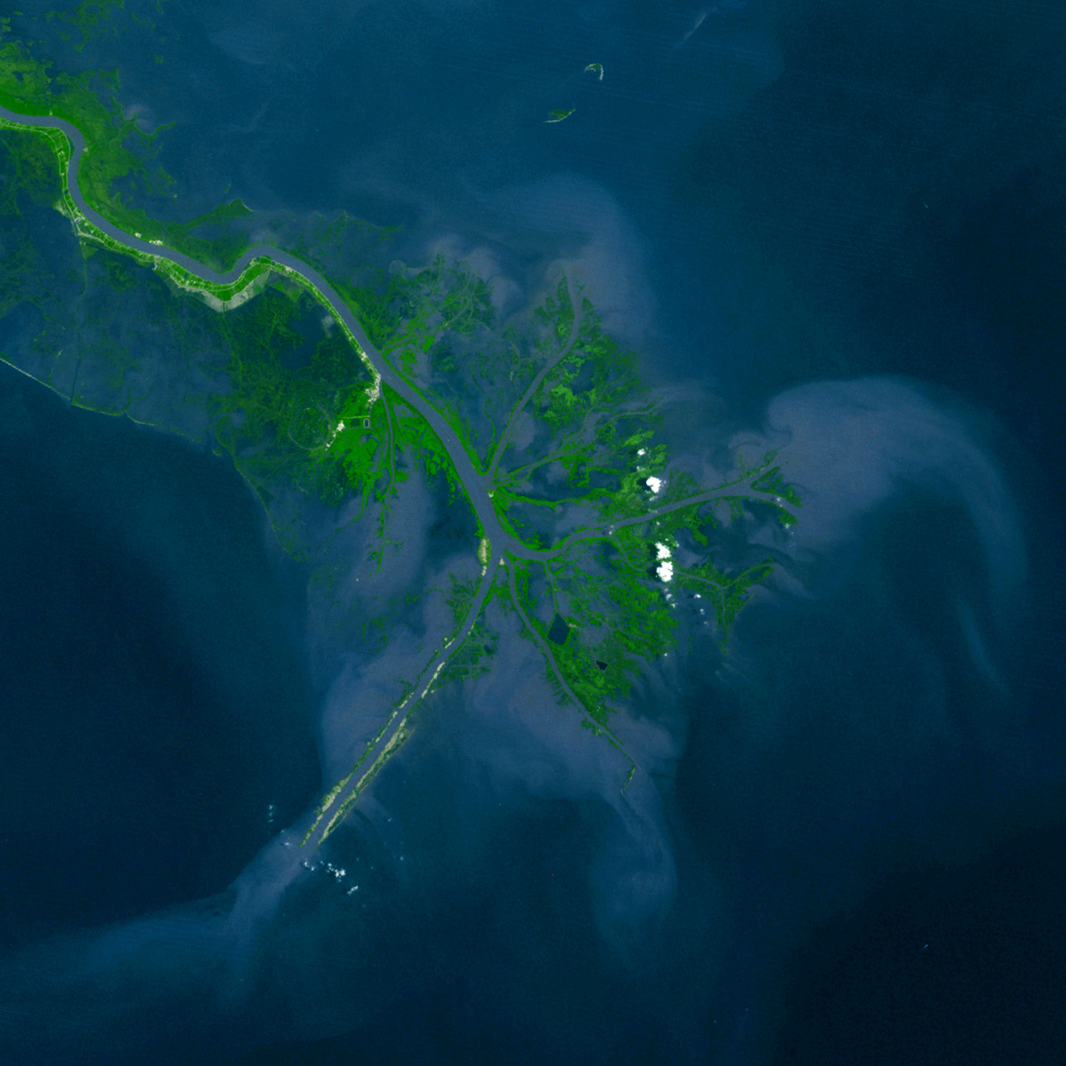 Mississippi River Delta - NASA Science