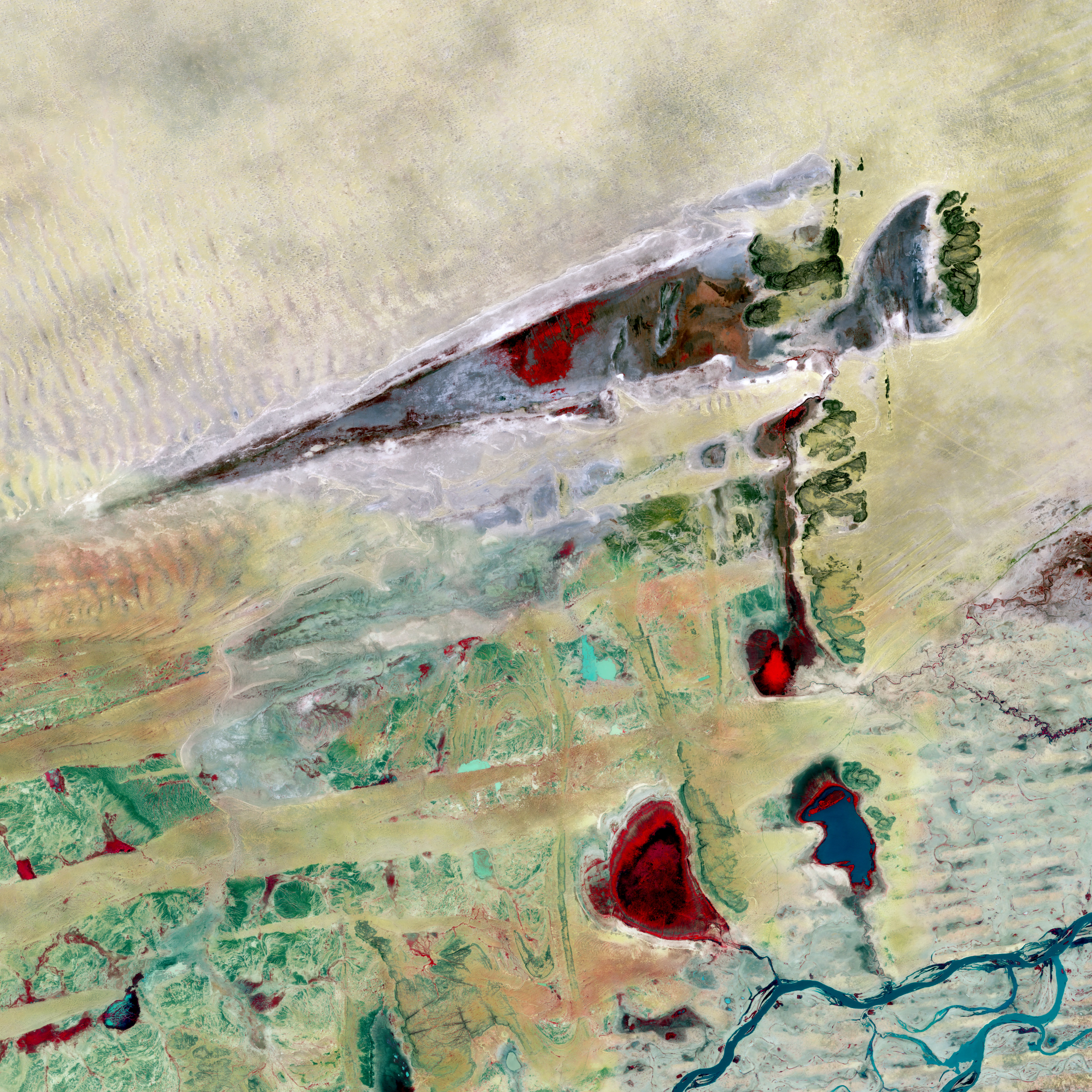Drying of Lake Faguibine, Mali - NASA Science