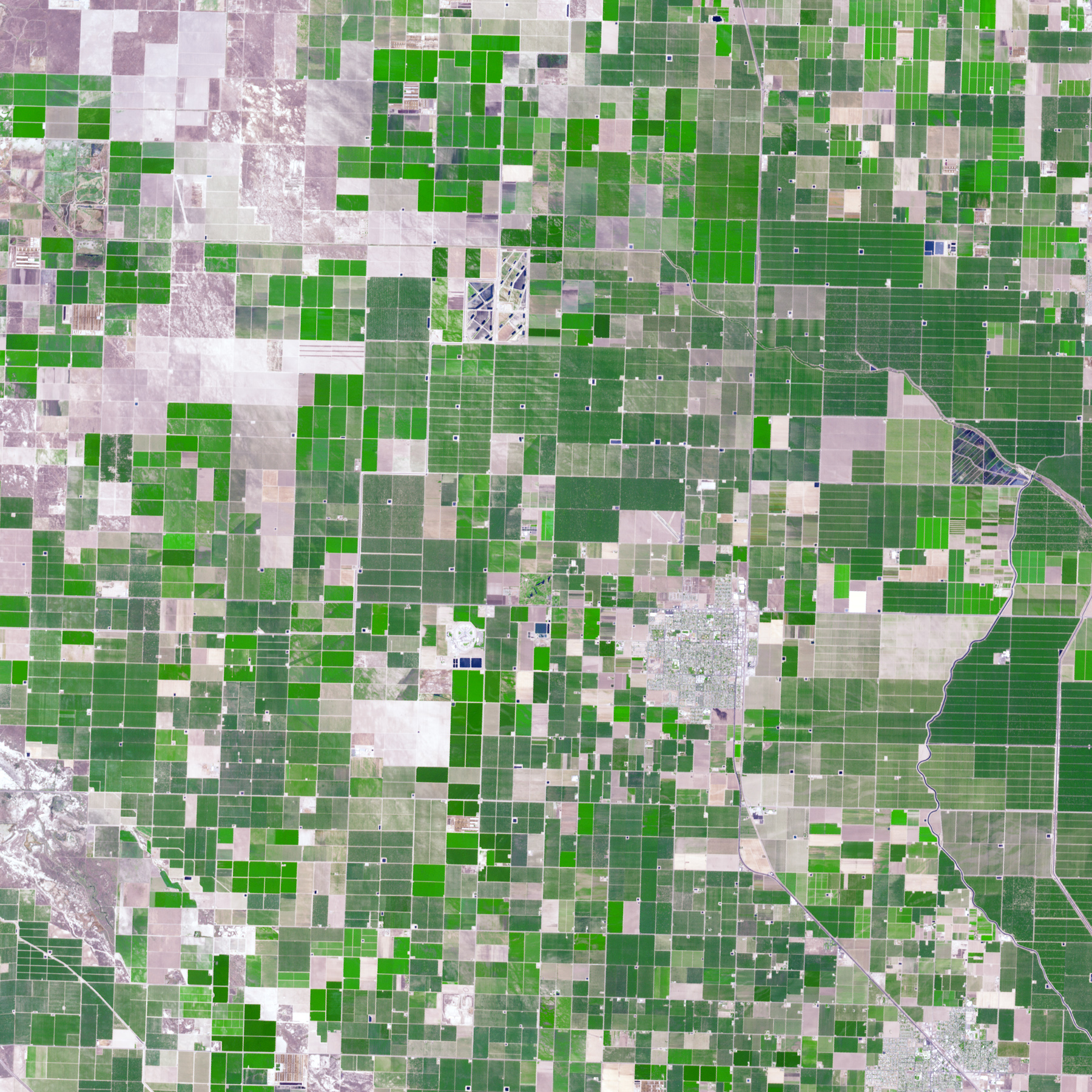 The Roses of Wasco - NASA Science