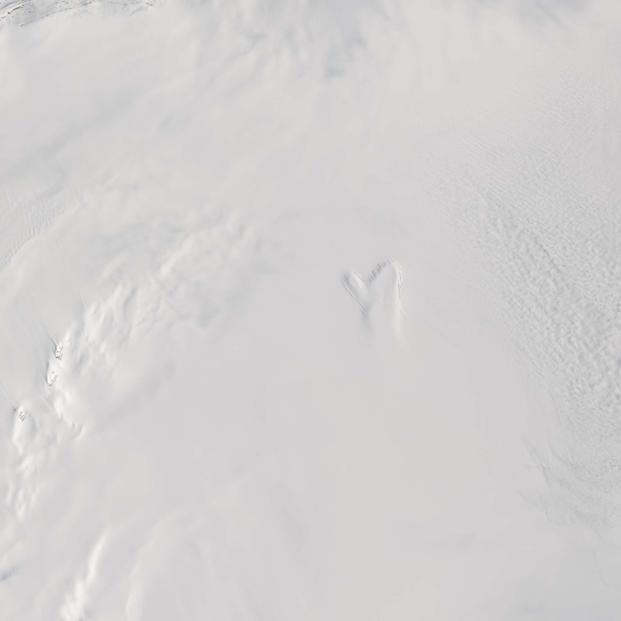 A Mitten Materializes in Greenland - NASA Science
