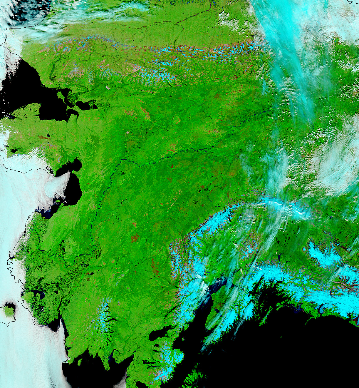 Alaska Charred - NASA Science