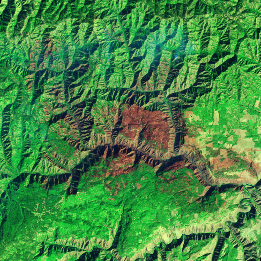 Grizzly Bear Complex Fire - NASA Science