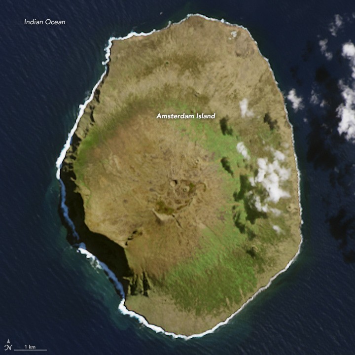 Amsterdam Island - NASA Science