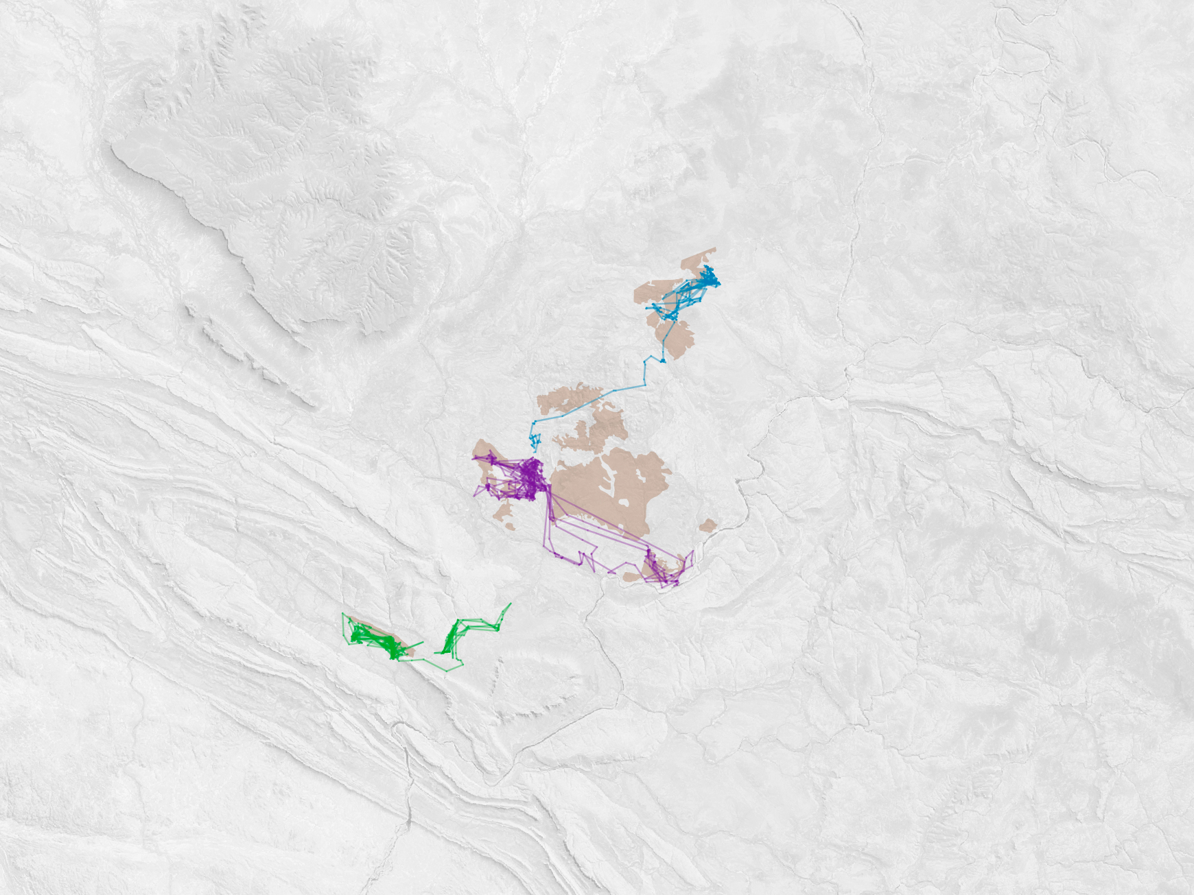 Feral Cats Forage at Burn Scars - NASA Science
