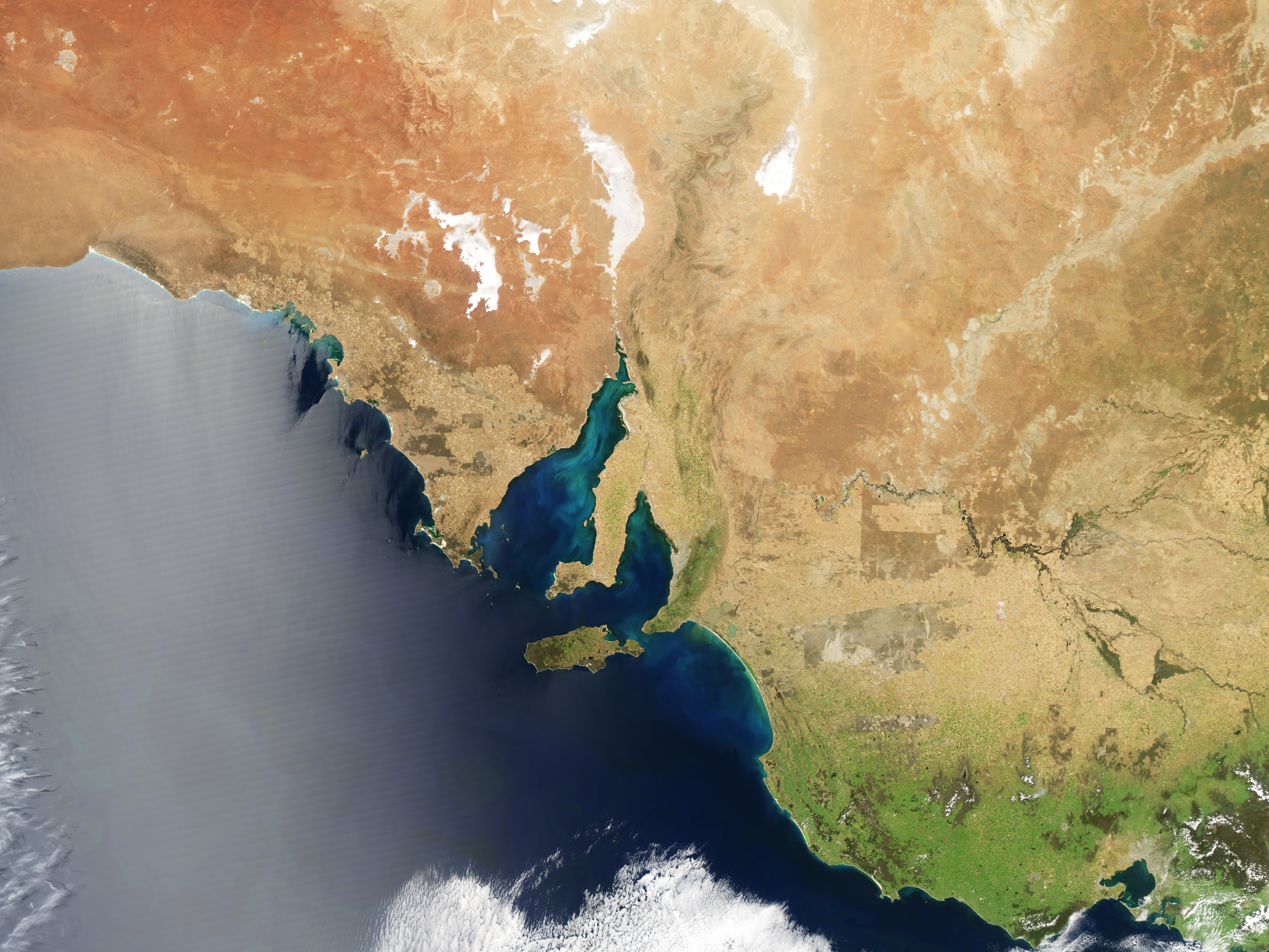 Algae Bloom or Swirling Sediment? - NASA Science
