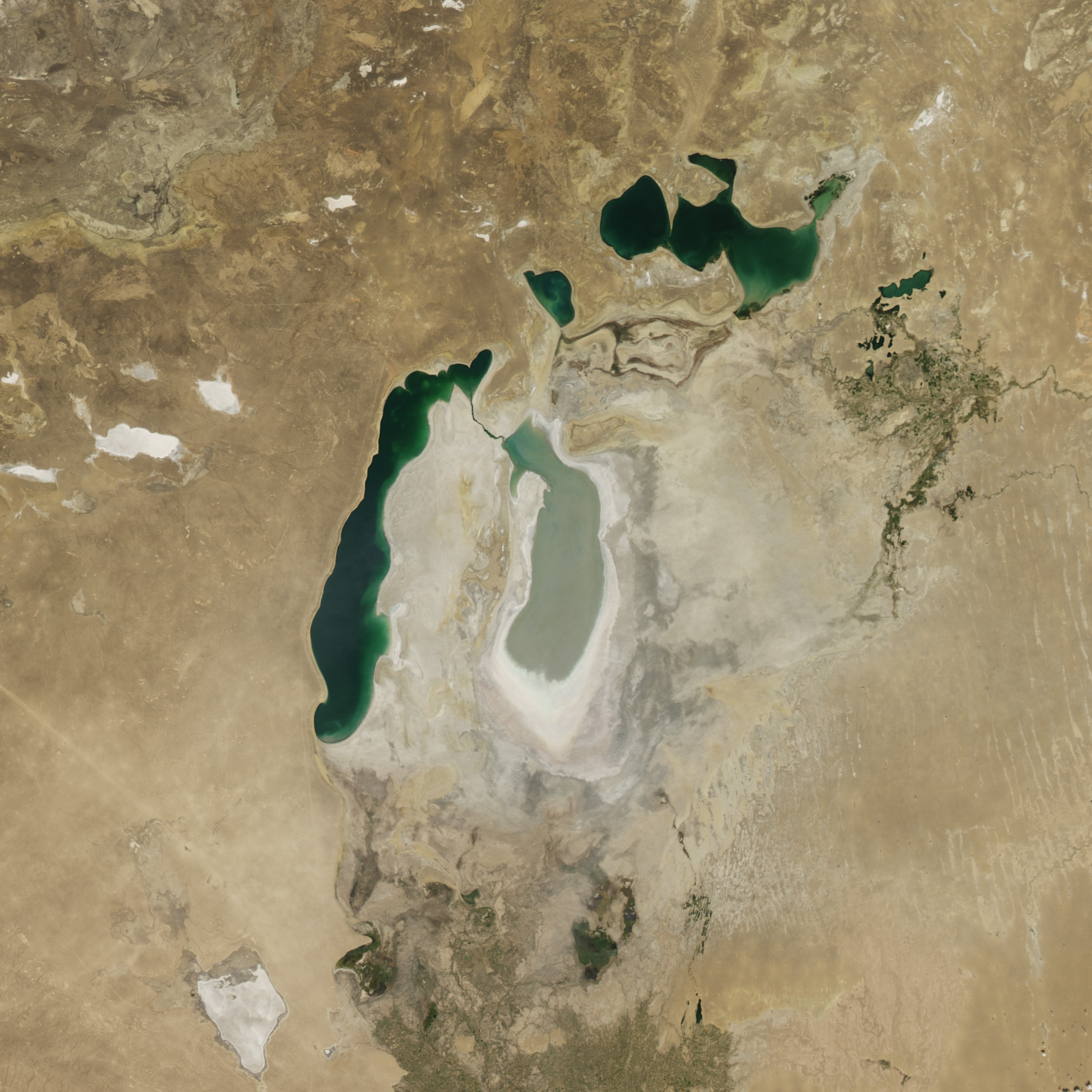 Aral Sea, 2000-2008 - NASA Science