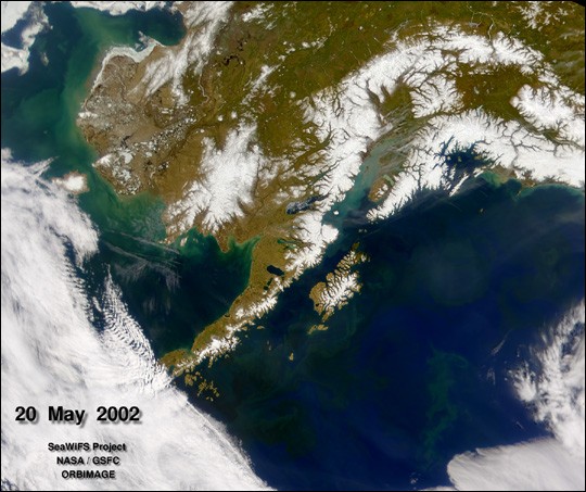 Phytoplankton in the Gulf of Alaska - NASA Science