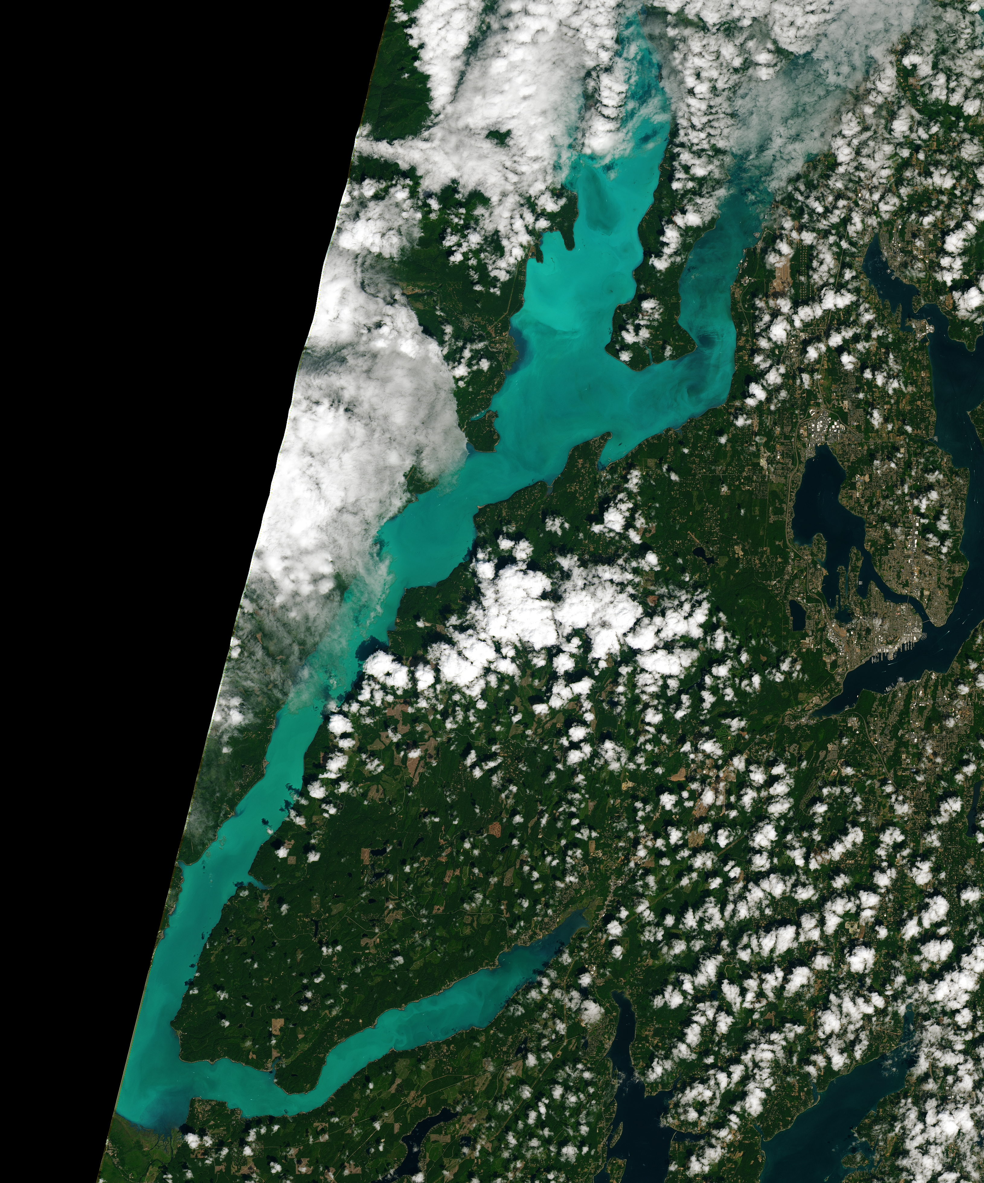 Plankton Abloom in Washington’s Hood Canal - NASA Science