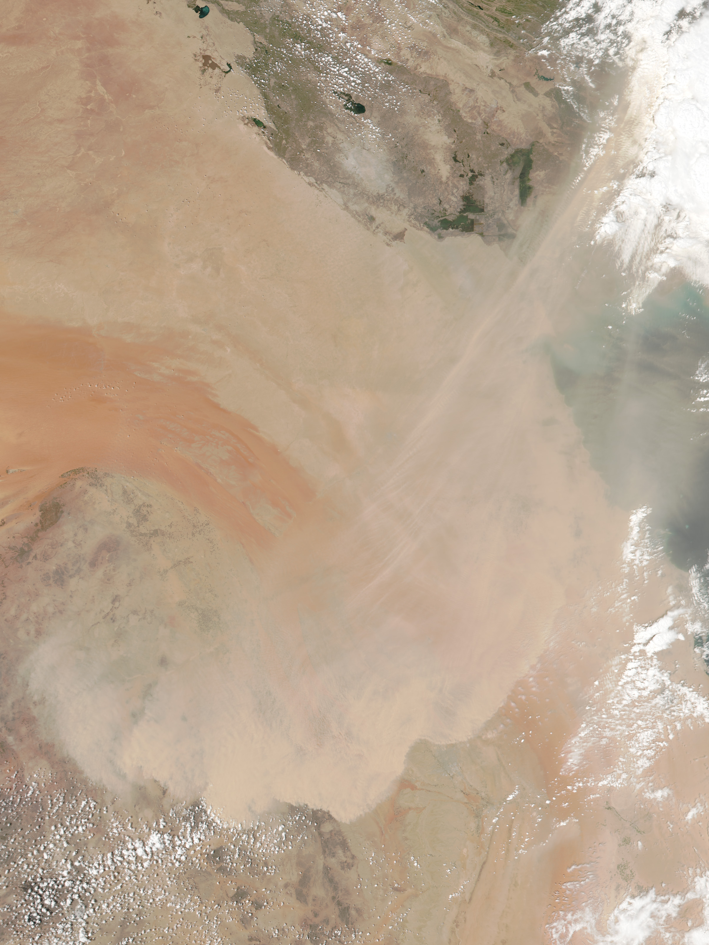 Dust Storm in Saudi Arabia - NASA Science