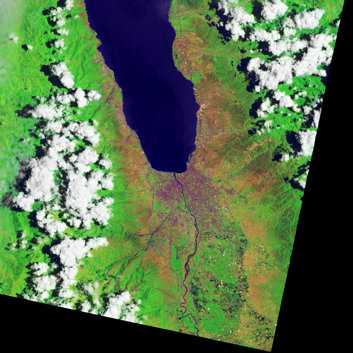 Devastation in Palu After Earthquake, Tsunami - NASA Science