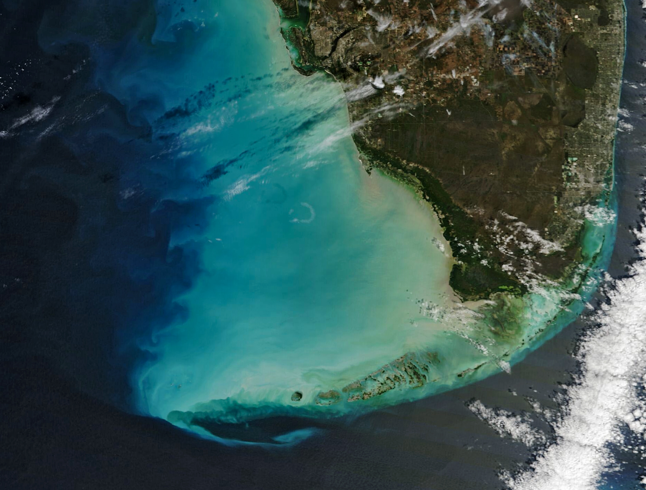 Arctic Blast Brightened the West Florida Shelf - NASA Science
