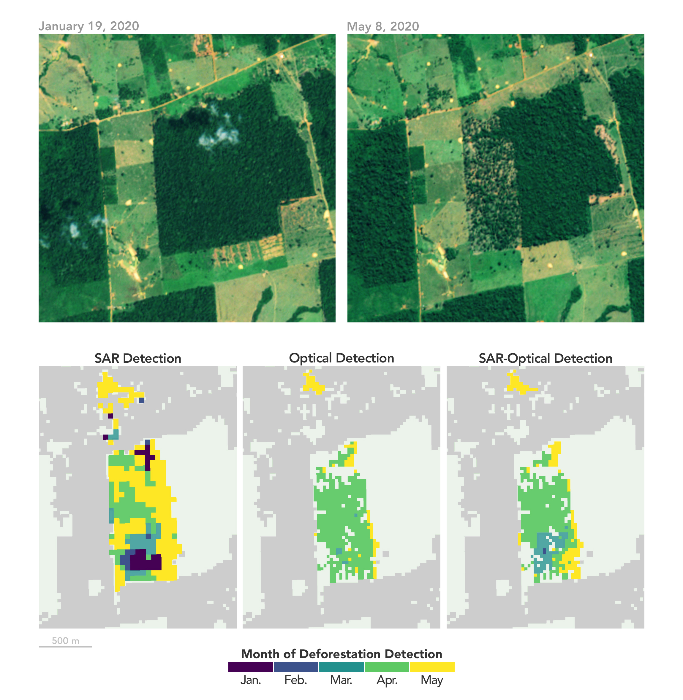 Faster Detection of Forest Loss - NASA Science