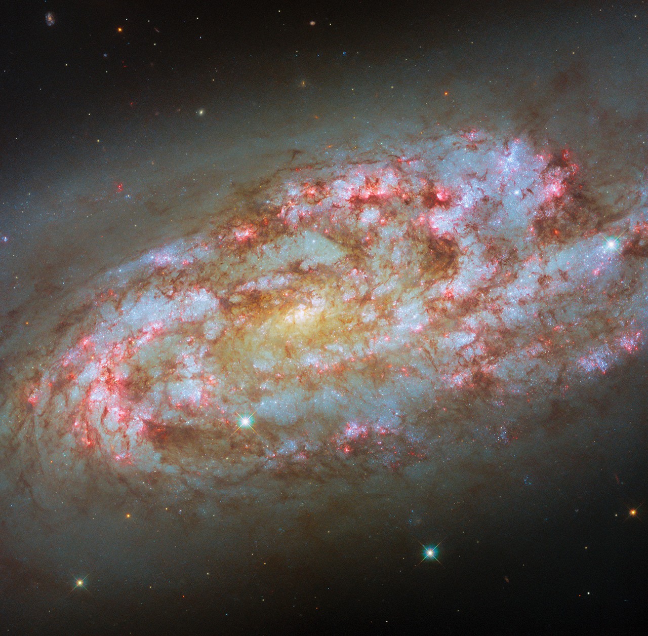 Hubble Spots a Storm of New Stars - NASA Science