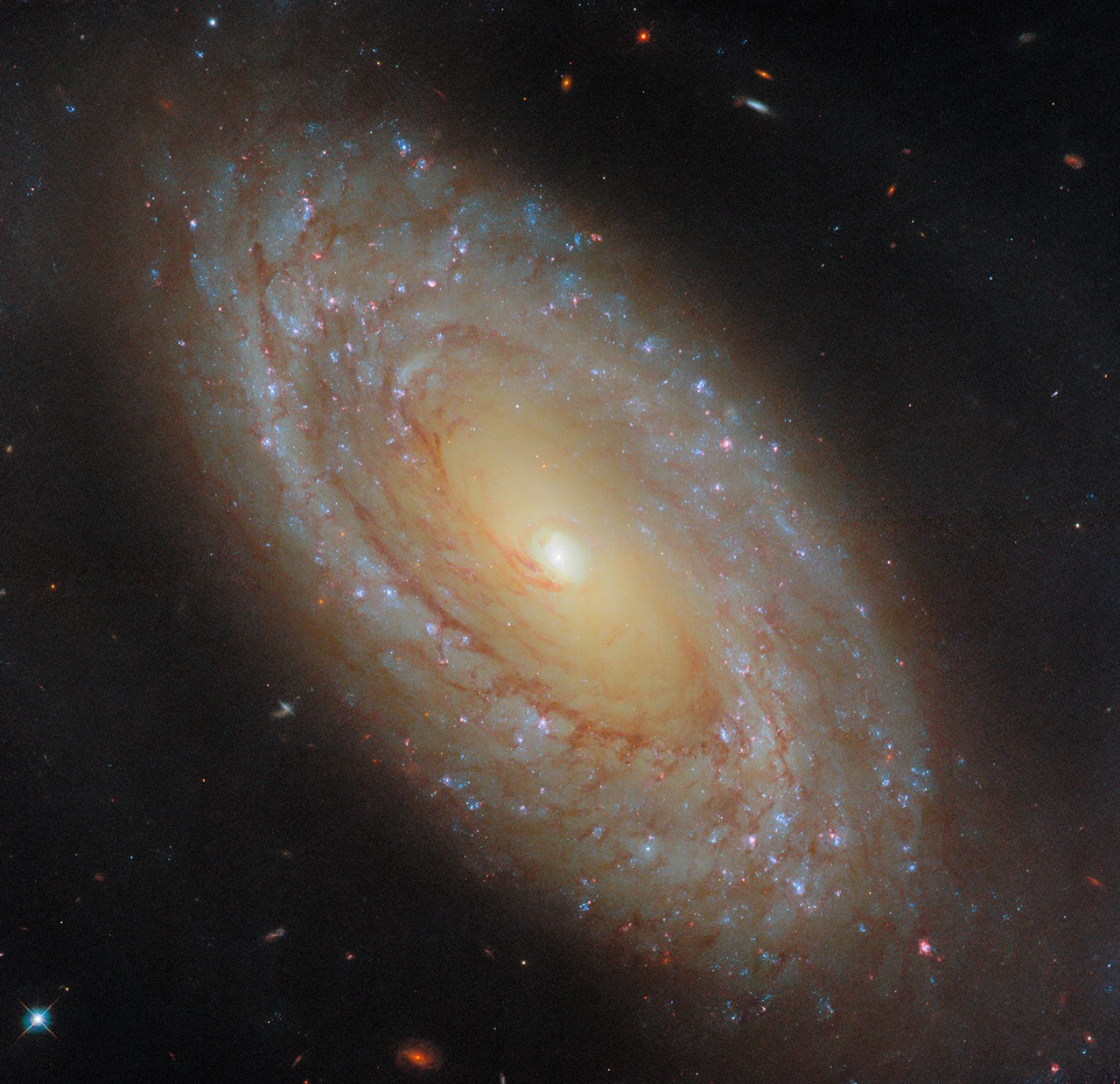 Hubble Studies a Nearby Galaxy’s Star Formation - NASA Science