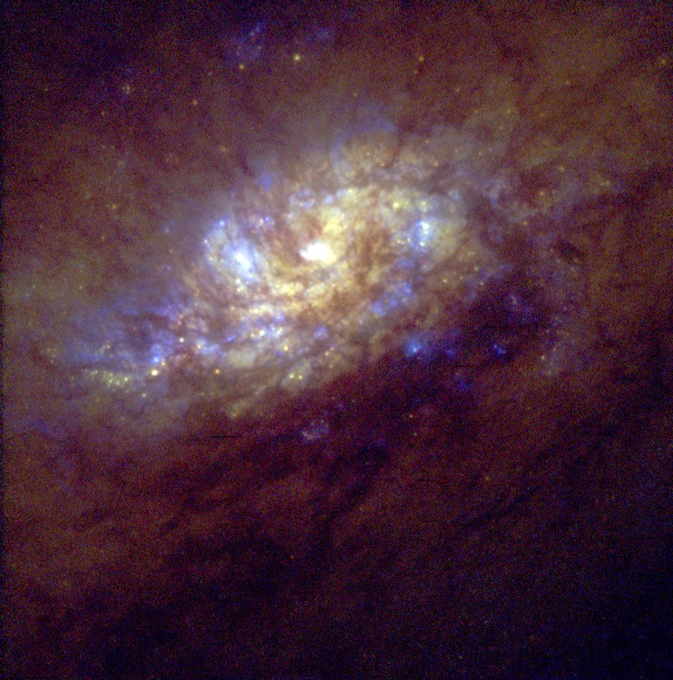 The Center of Barred Spiral Galaxy NGC 1808 - NASA Science