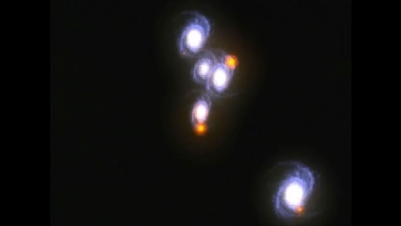 Animation of Cepheid Stars in Galaxies Showing Distances - NASA Science