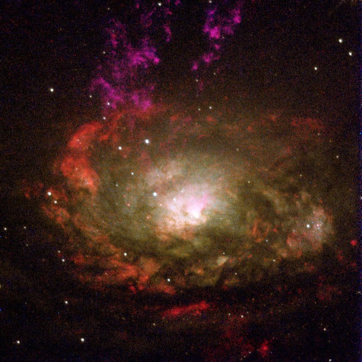 Circinus Galaxy Spews Gas Into Space - NASA Science