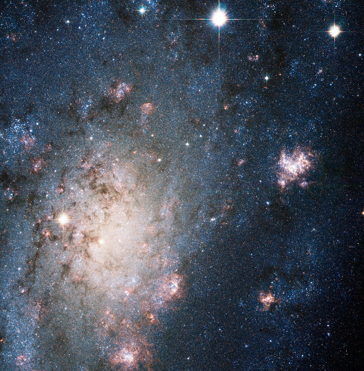 A Bright Supernova in the Nearby Galaxy NGC 2403 - NASA Science