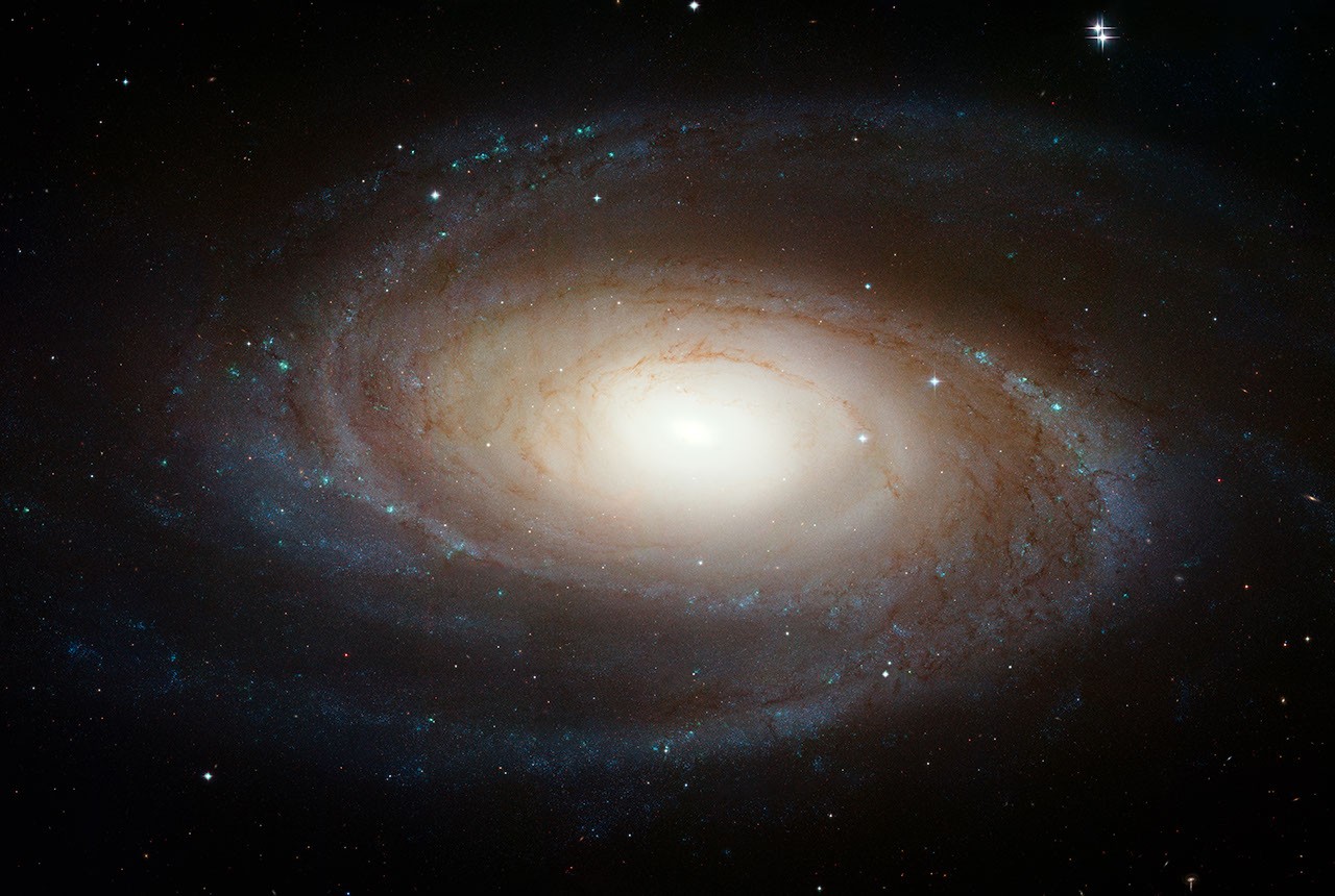 Hubble Photographs Grand Design Spiral Galaxy M81 - NASA Science
