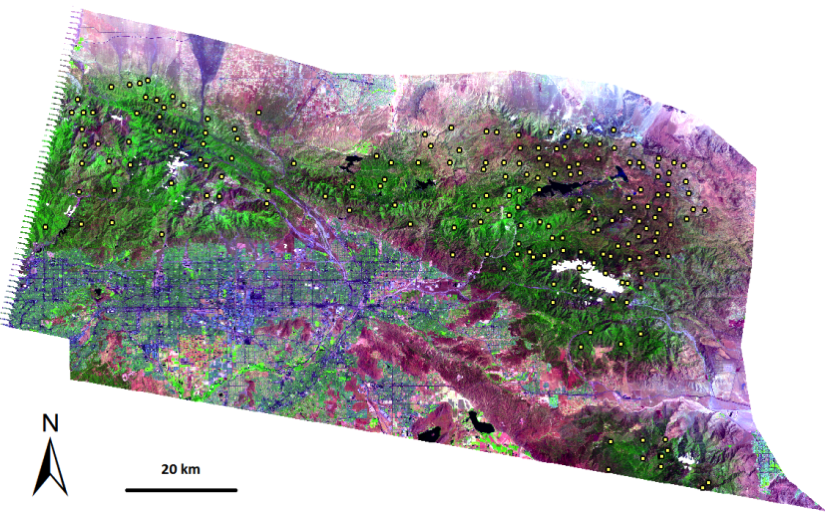 How FastEmap is Helping Foresters - NASA Science