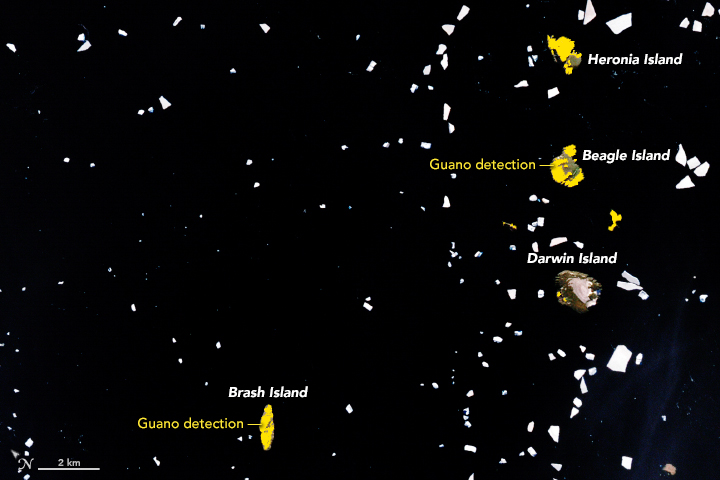 At the Bottom of the World, Satellites Are Guiding Commerce and ...