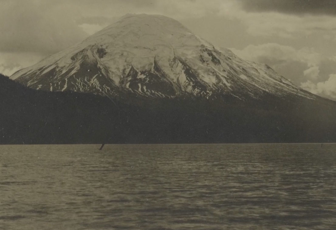 40 Years After Mount St. Helens' Eruption, 40 Years of Forest Recovery ...