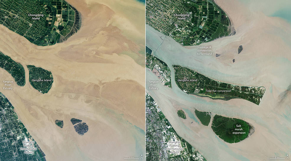 NASA Scientists Map Global Salt Marsh Losses and Their Carbon Impact ...