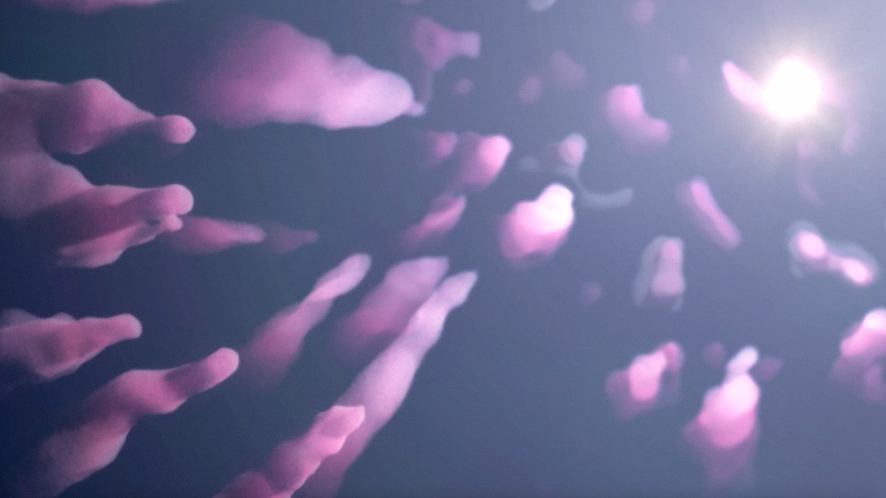 How Dense Pillars Form in Molecular Clouds - NASA Science