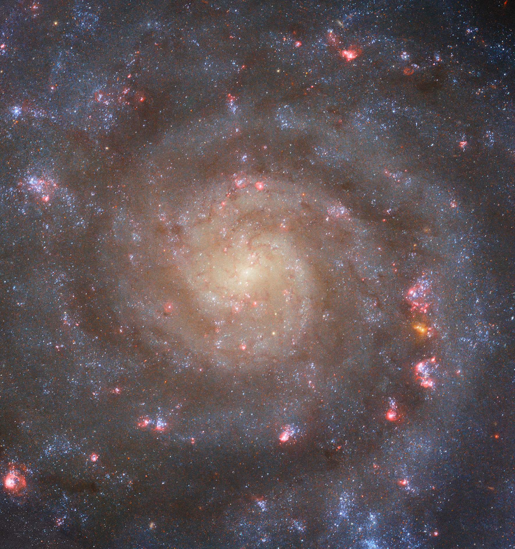 Webb and Hubble's Views of Spiral Galaxy IC 5332 - NASA Science
