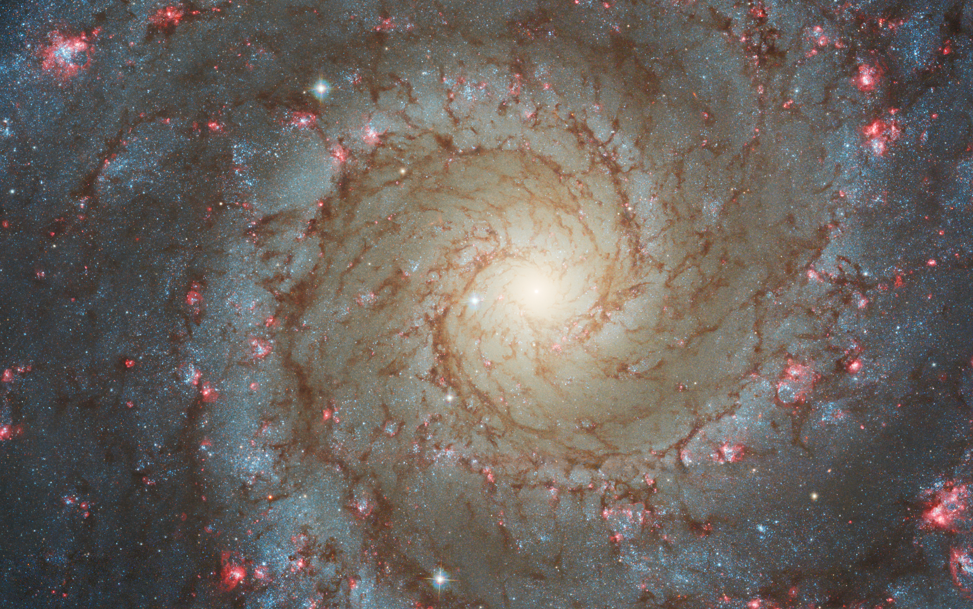 Webb and Hubble's Views of Spiral Galaxy NGC 628 - NASA Science