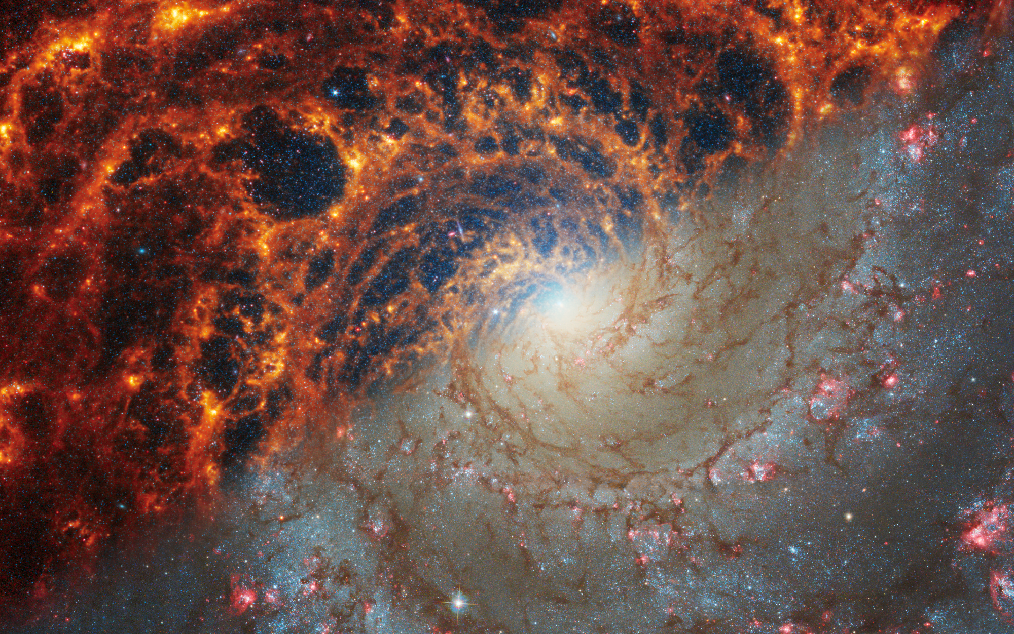 Webb and Hubble's Views of Spiral Galaxy NGC 628 - NASA Science