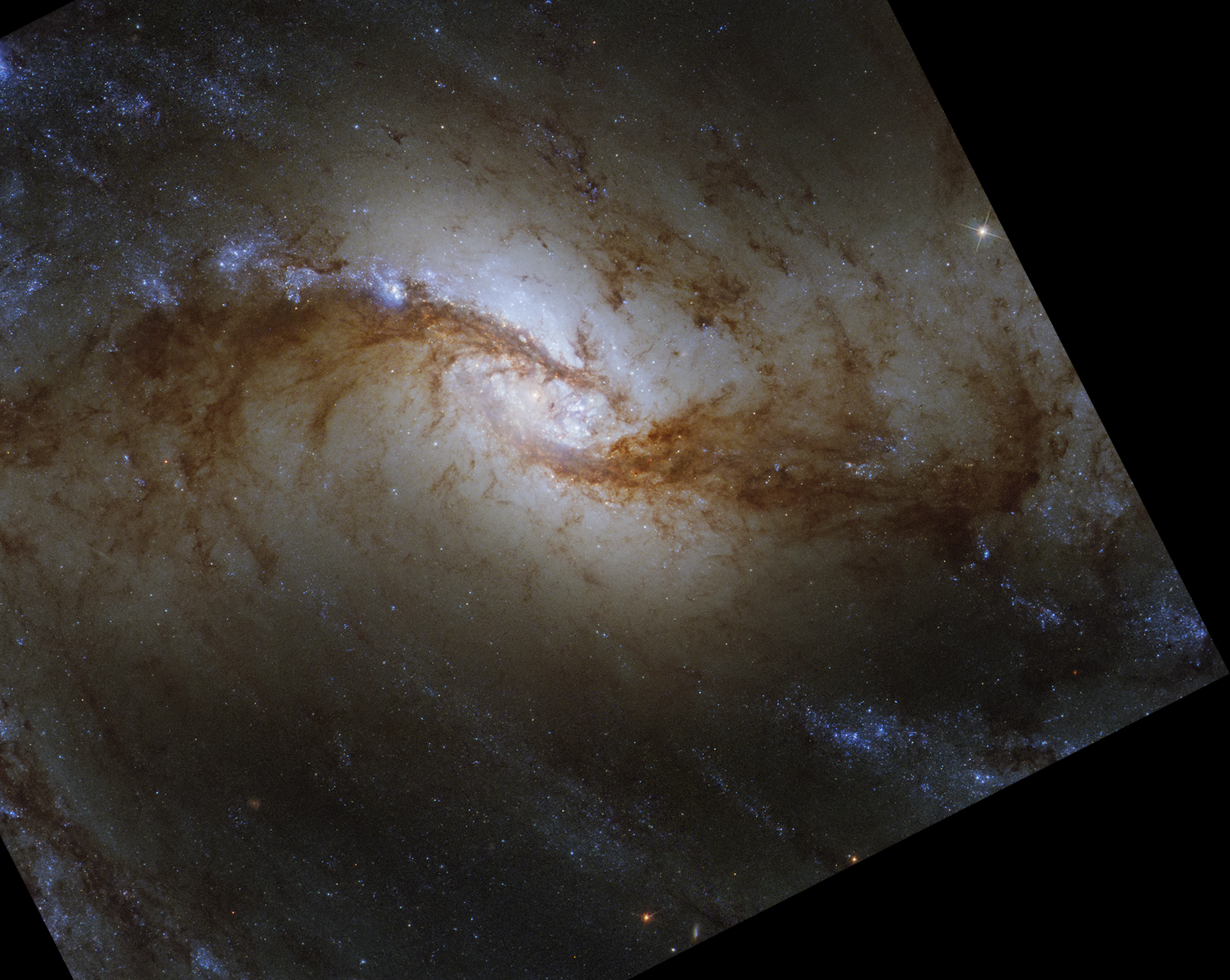 Webb and Hubble's Views of Spiral Galaxy NGC 1365 - NASA Science